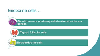 Overview of the 2022 WHO Classification of Pituitary.pptx