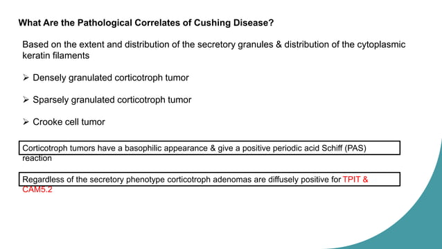 Overview of the 2022 WHO Classification of Pituitary.pptx | Endocrine ...