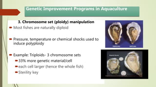 Overview of the biotechnology in fishery | PPTX