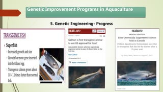 Overview of the biotechnology in fishery | PPTX