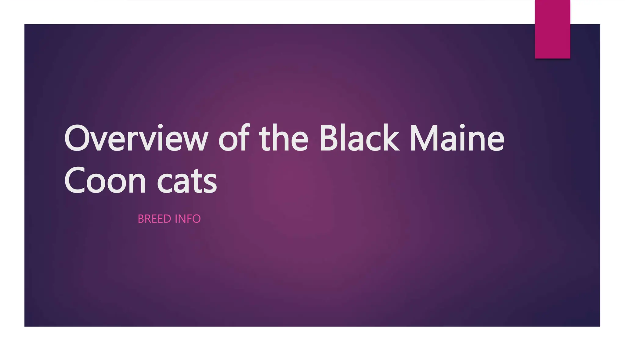 Overview of the Black Maine Coon cats.pptx