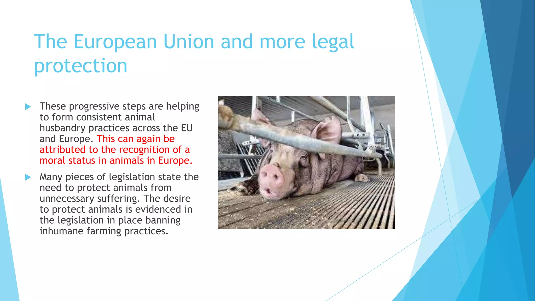 Overview of the Comparison Between US Animal Cruelty.pptx