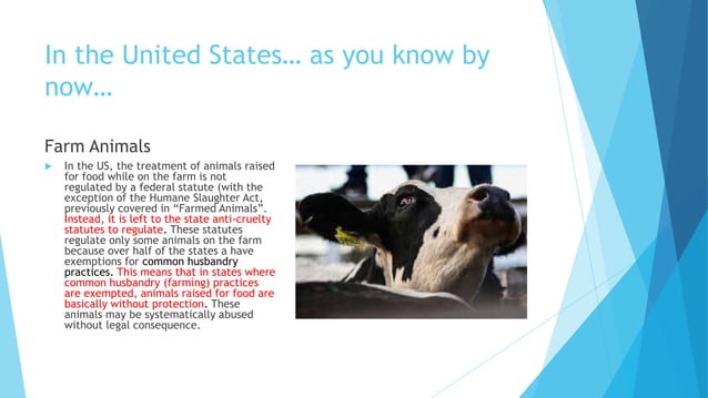 Overview of the Comparison Between US Animal Cruelty.pptx