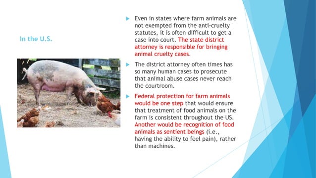 Overview of the Comparison Between US Animal Cruelty.pptx