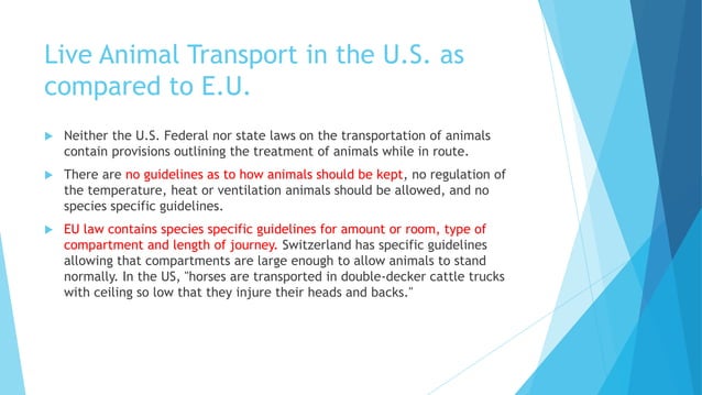 Overview of the Comparison Between US Animal Cruelty.pptx