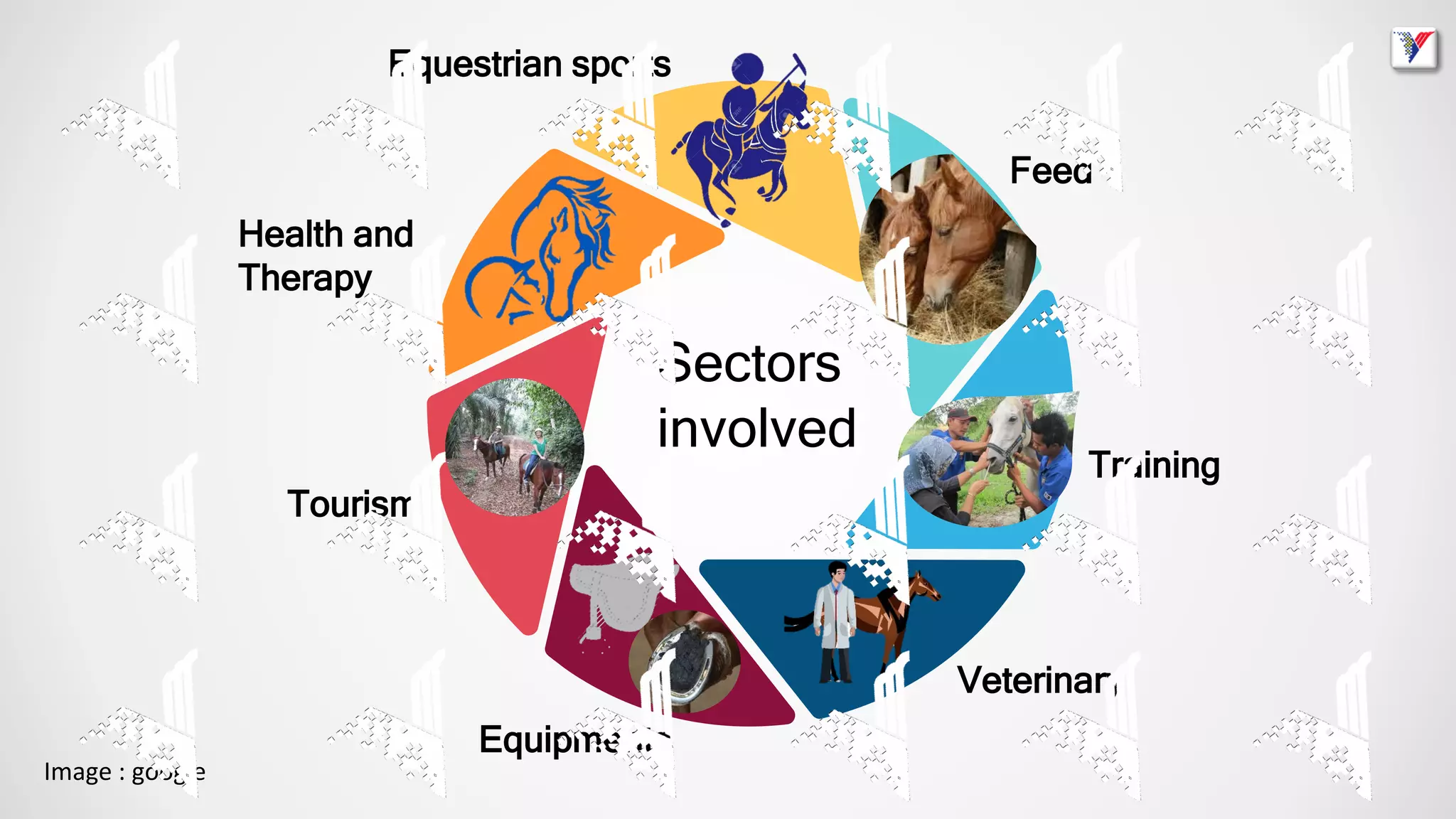 Overview of the equine industry in Malaysia | PDF