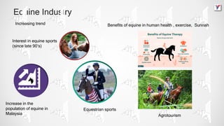 Overview of the equine industry in Malaysia | PDF