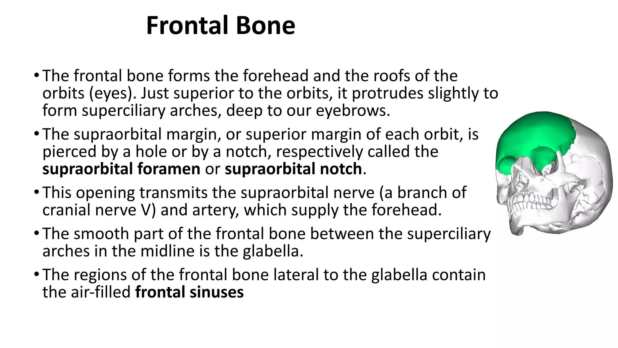 OVERVIEW OF THE HEAD REGION.pptx.pdf