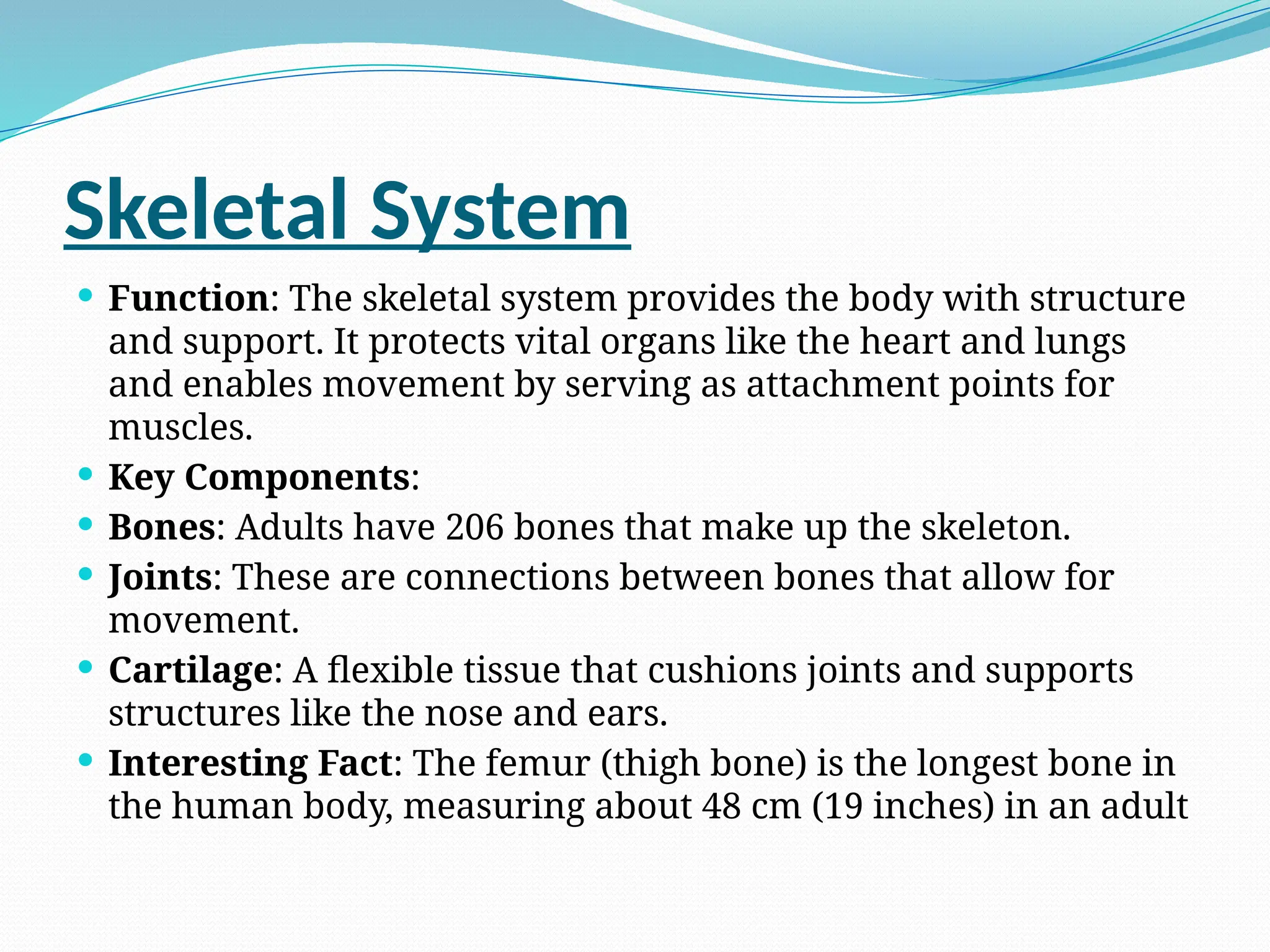 Overview of the Human Body.pptx all the parts of human body | PPT