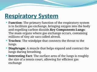Overview of the Human Body.pptx all the parts of human body | PPTX