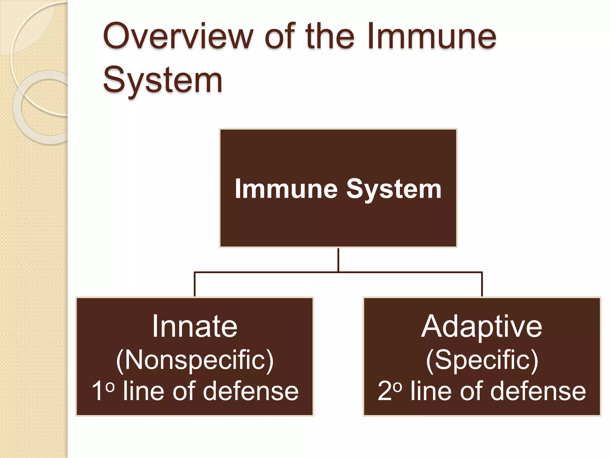 Overview of the immune system | PPTX