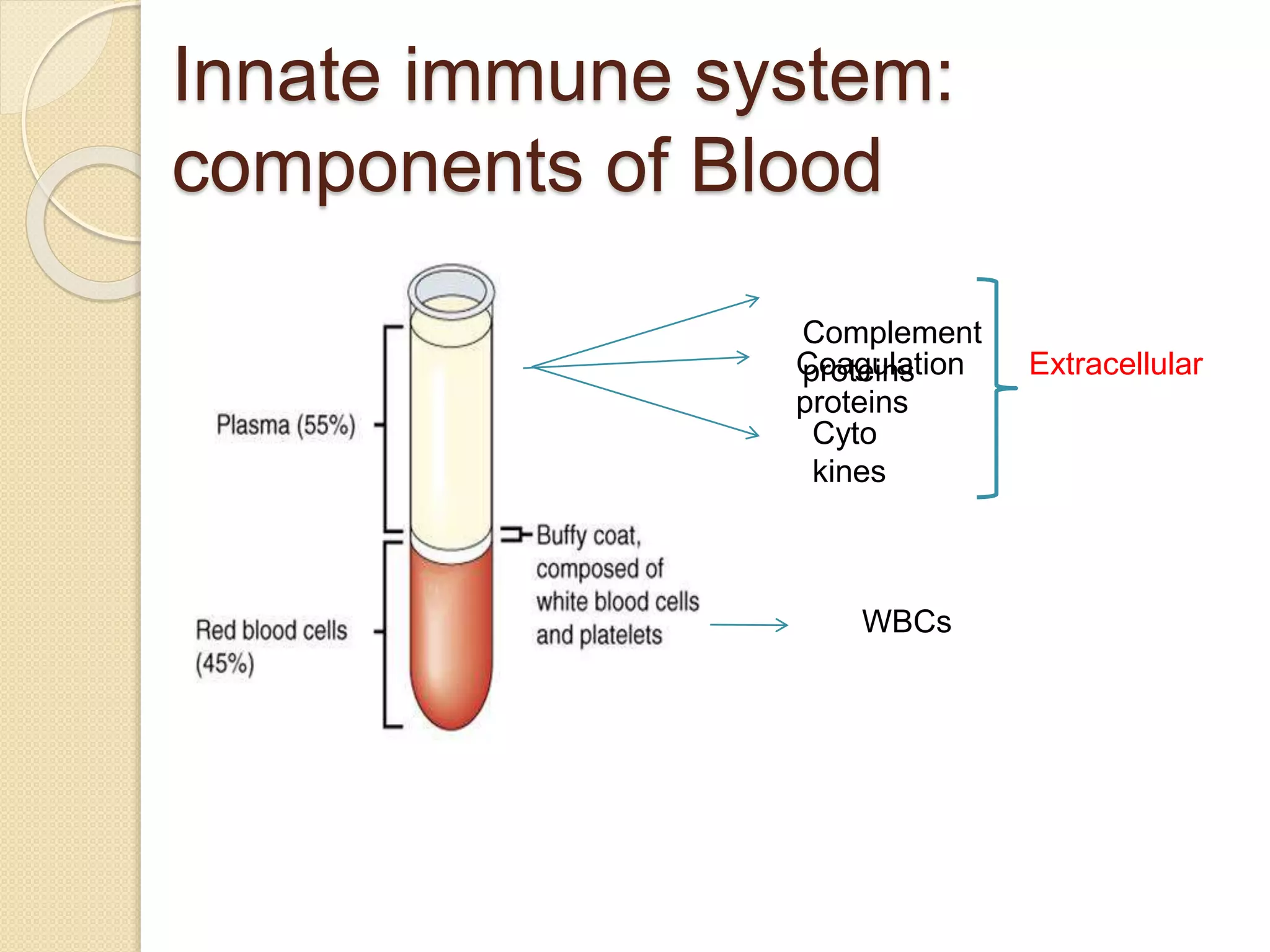 Overview of the immune system | PPTX | Infectious Diseases | Diseases ...