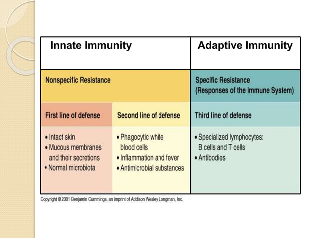 Overview of the immune system | PPTX | Infectious Diseases | Diseases ...