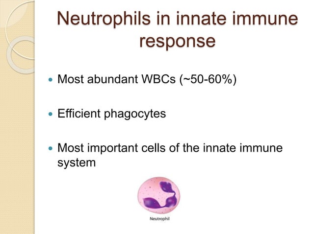 Overview of the immune system | PPTX | Infectious Diseases | Diseases and Conditions