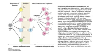 Overview of the immune system.pptx