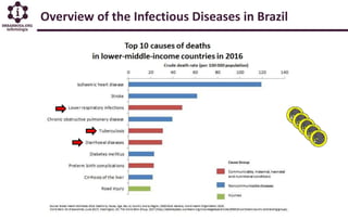 Overview of the Infectious Diseases in Brazil - Winter School on ...