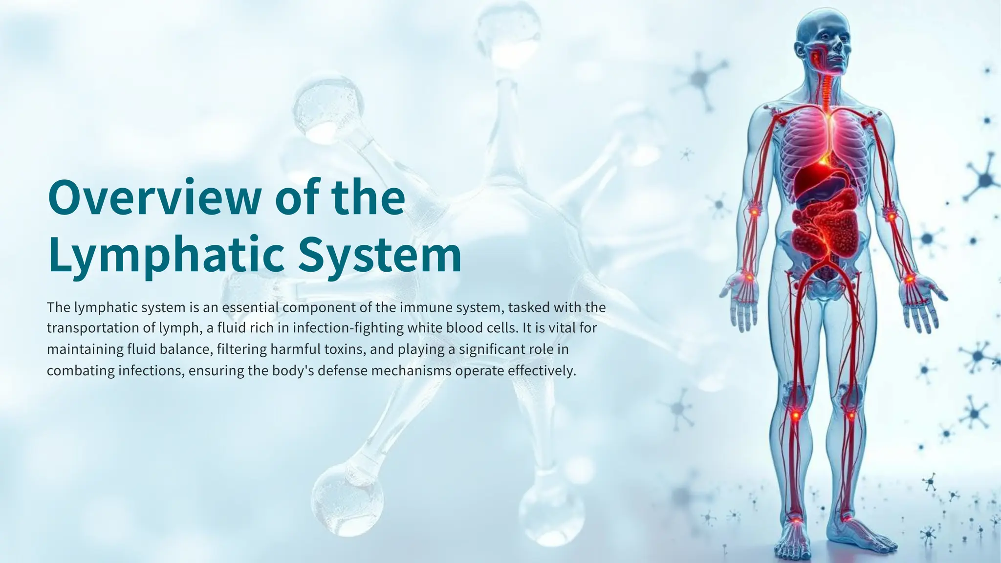Overview of the Lymphatic System and their function .pdf
