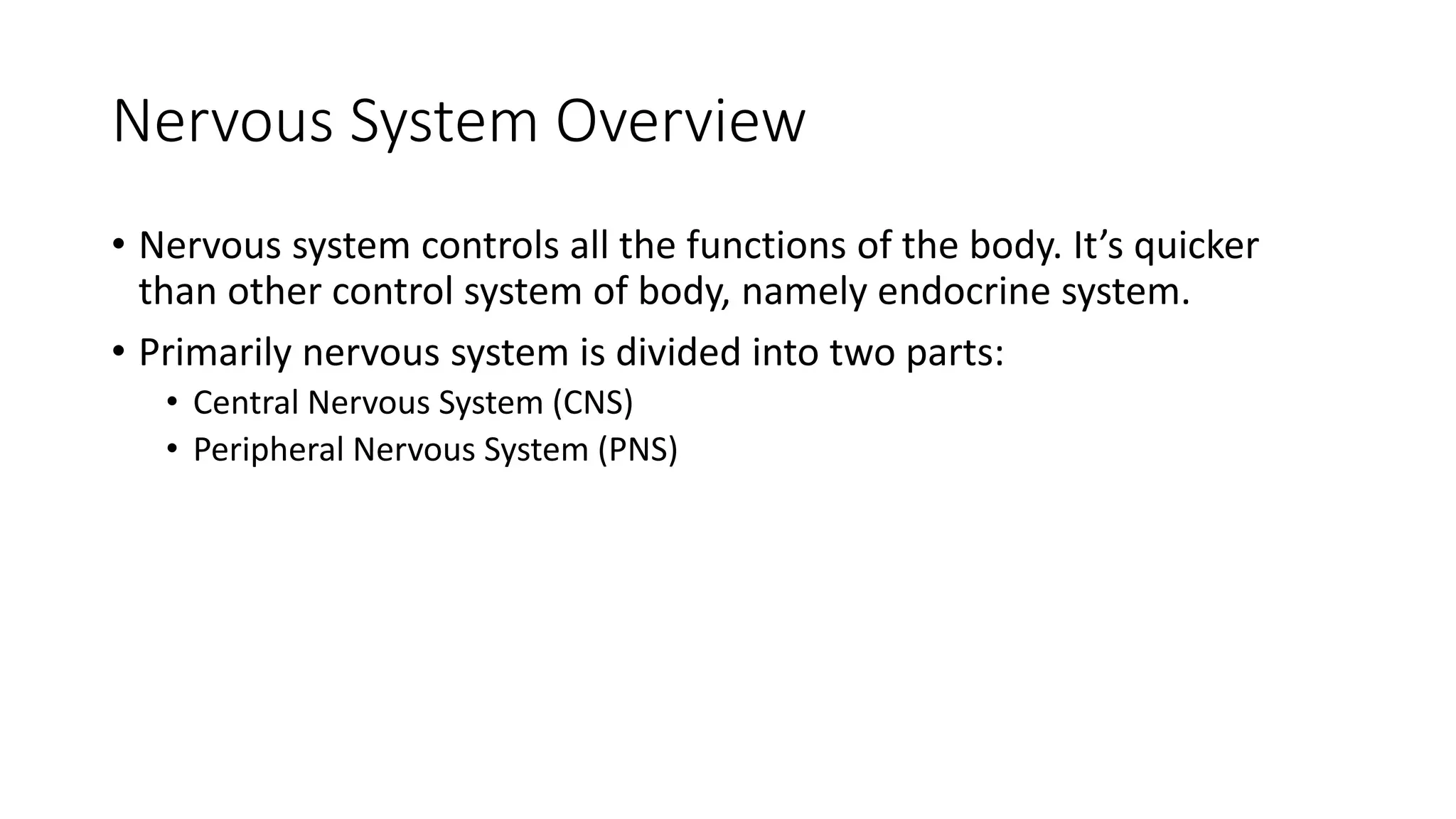 An Overview of the Human Nervous System.pptx