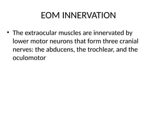 Overview of the physiology of the eye and - Copy.pptx