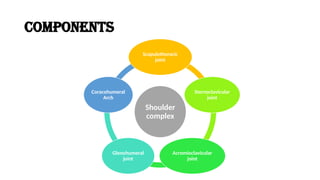 OVERVIEW OF THE BIOMECHANICS OF THE SHOULDER COMPLEX.pptx