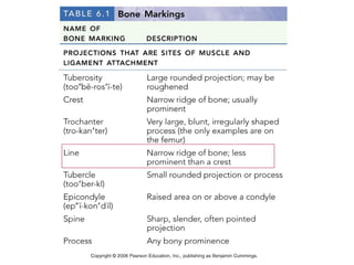 Overview Of The Skeleton Exercise 9 | PPT