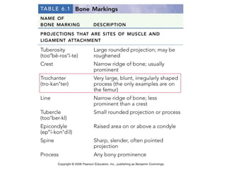 Overview Of The Skeleton Exercise 9 | PPT