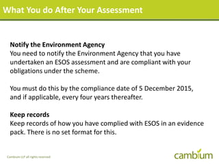 Making Business Green WIth Clean Tech and IT Solutions: An Overview of ...