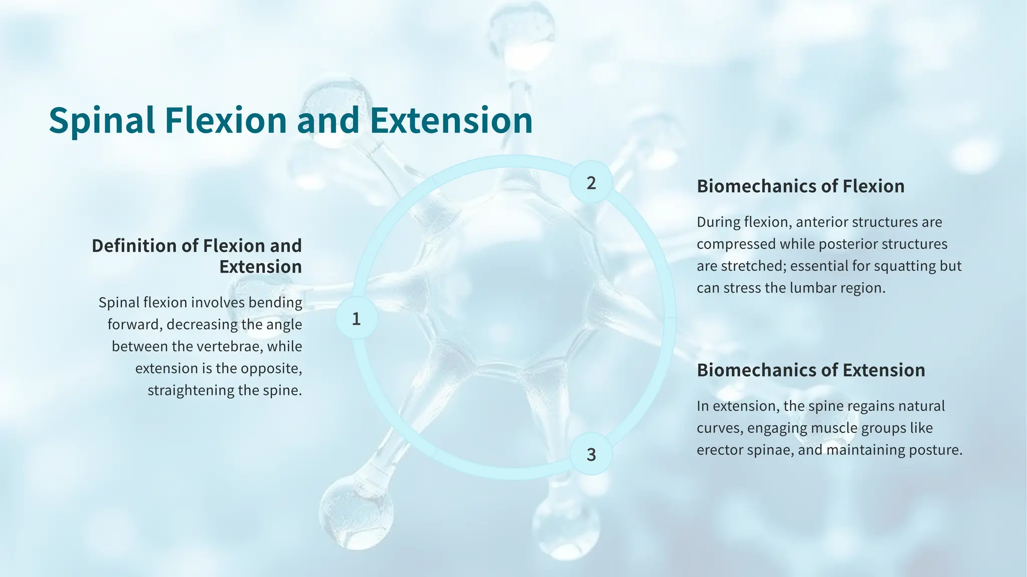 Overview of the Vertebral Column and pelvis....pdf