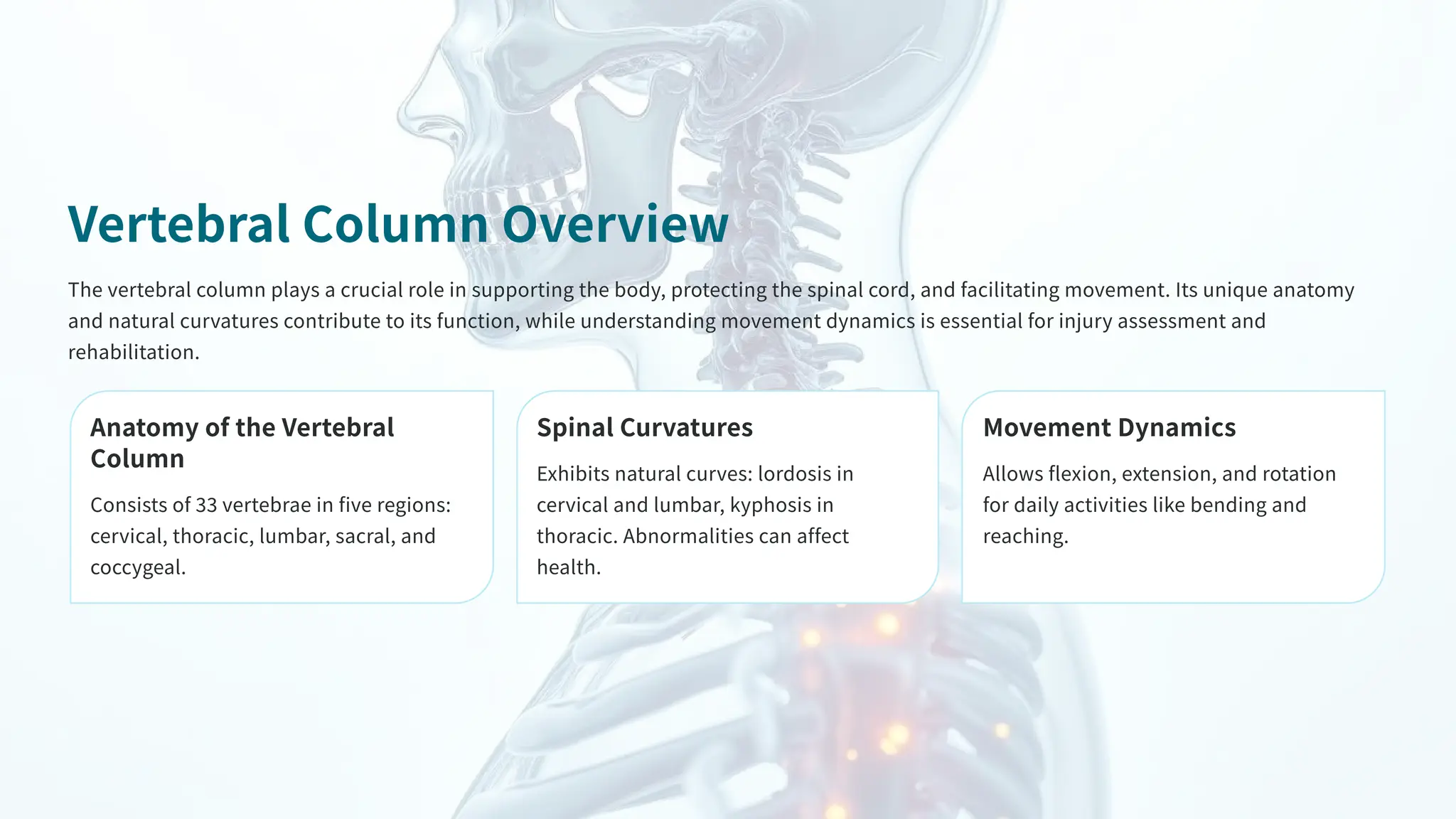 Overview of the Vertebral Column and pelvis....pdf