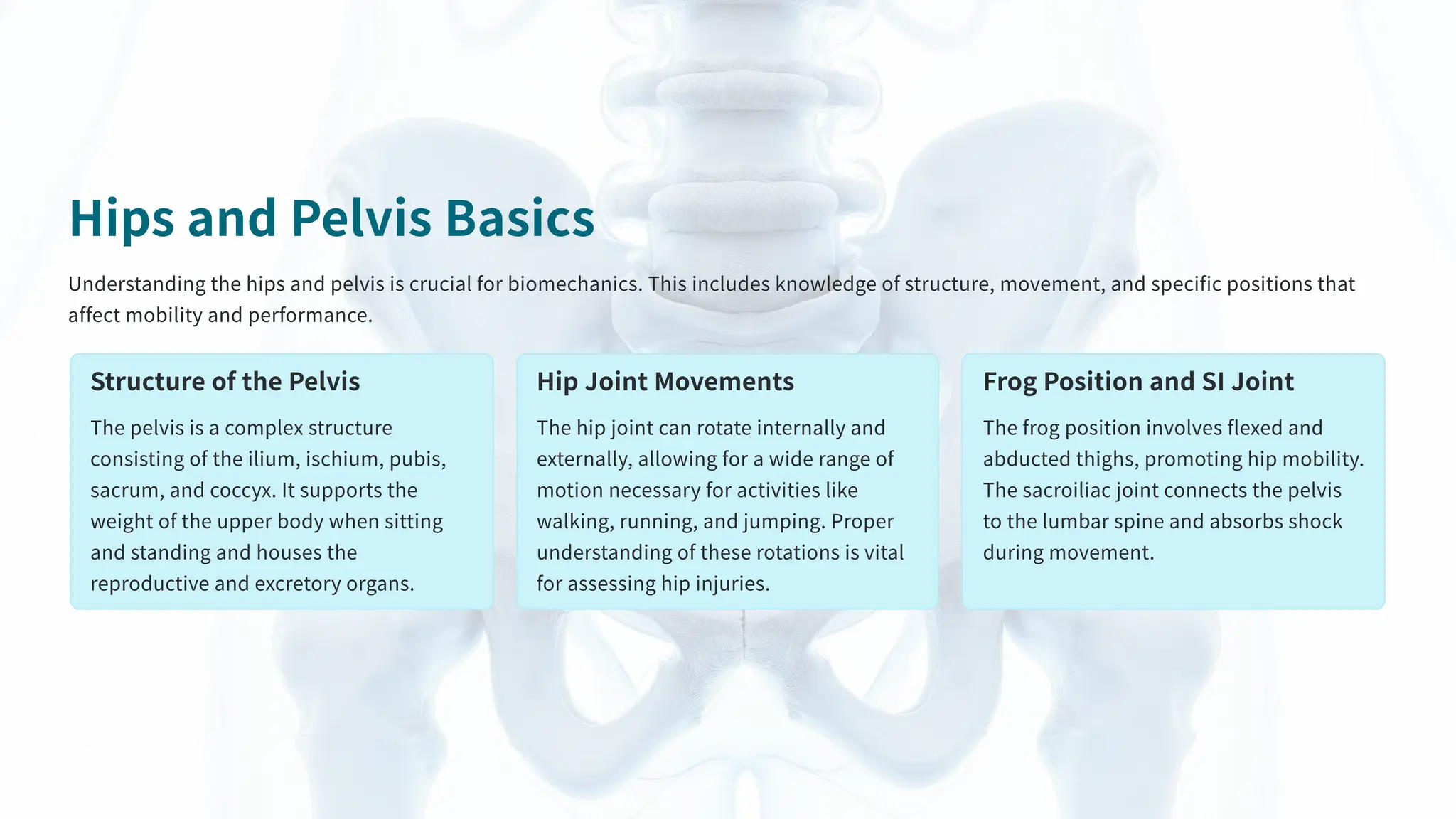 Overview of the Vertebral Column and pelvis....pdf