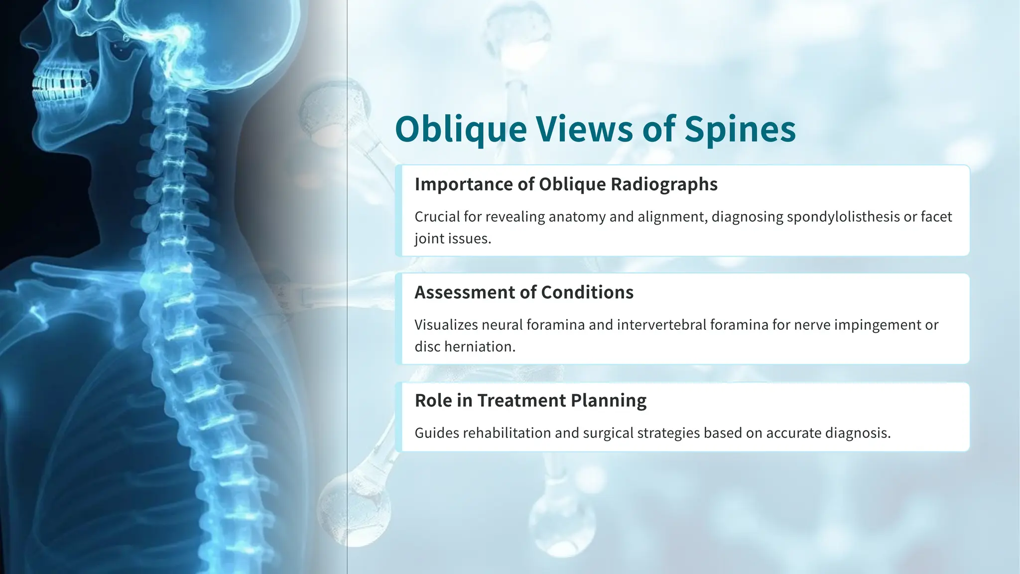 Overview of the Vertebral Column and pelvis....pdf
