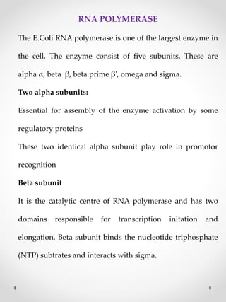 Rna Polymerase Beta Subunits