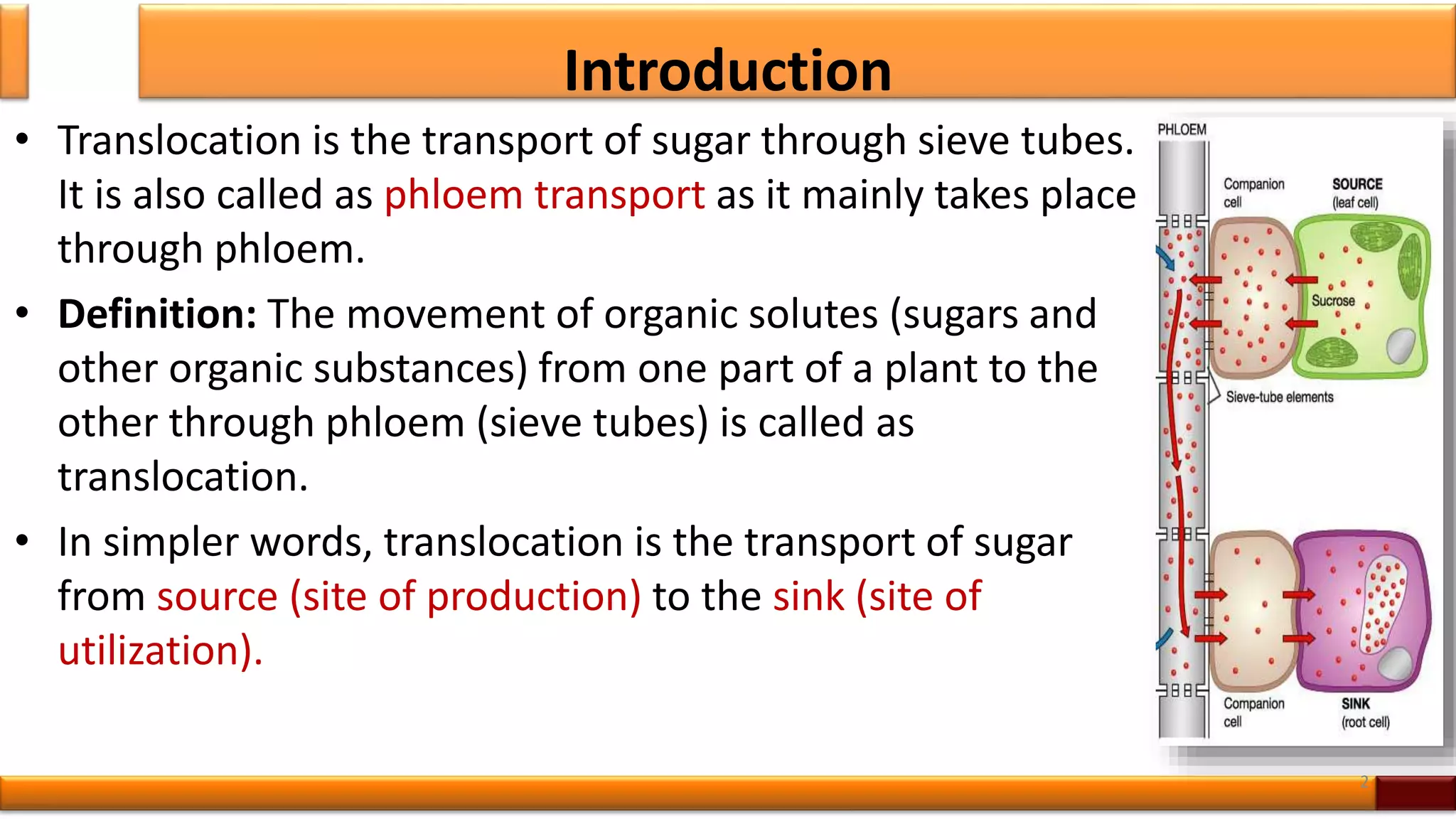 Overview of translocation(Phloem transport) | PPTX | Gardening | Home ...