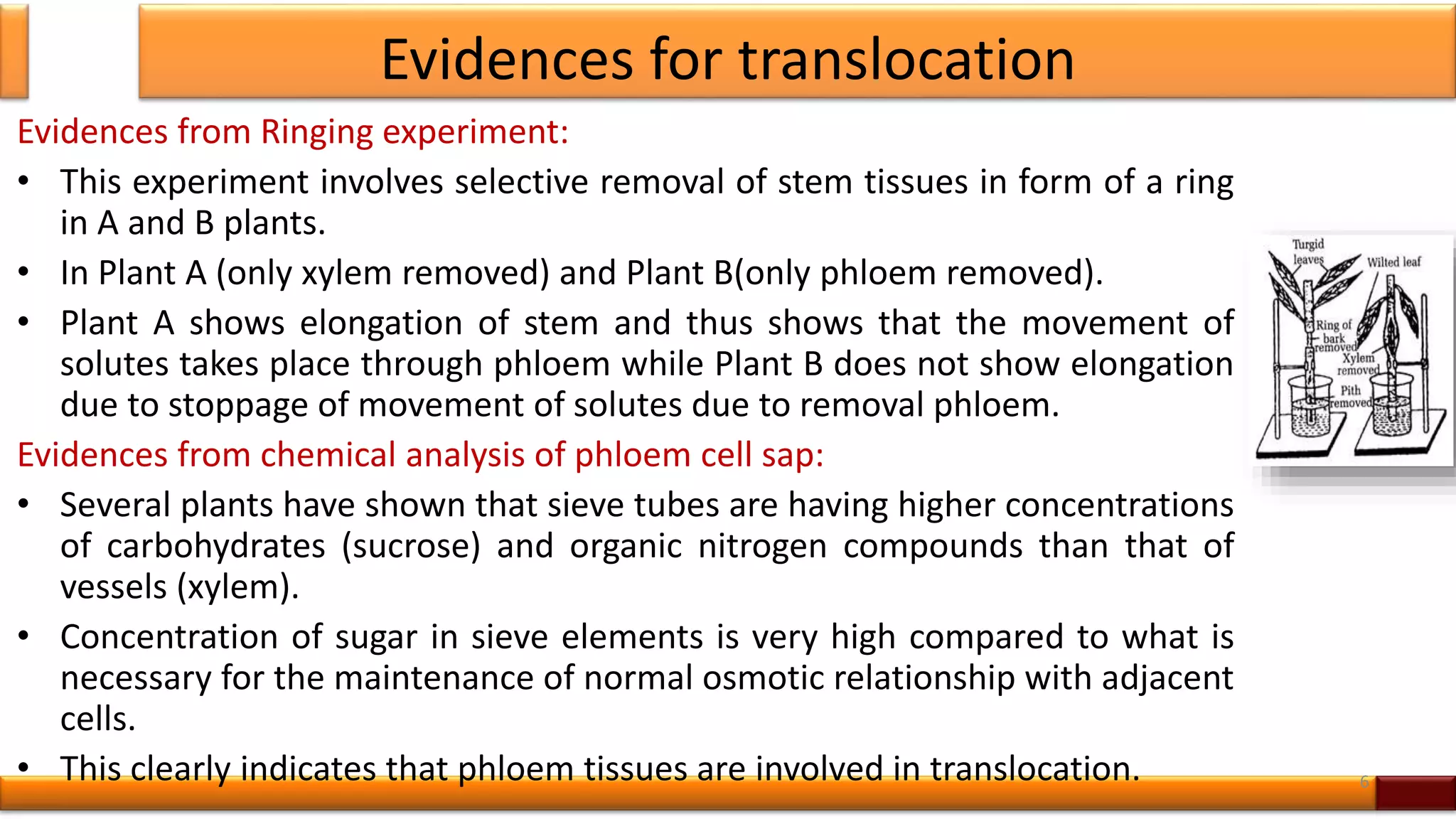 Overview of translocation(Phloem transport) | PPTX