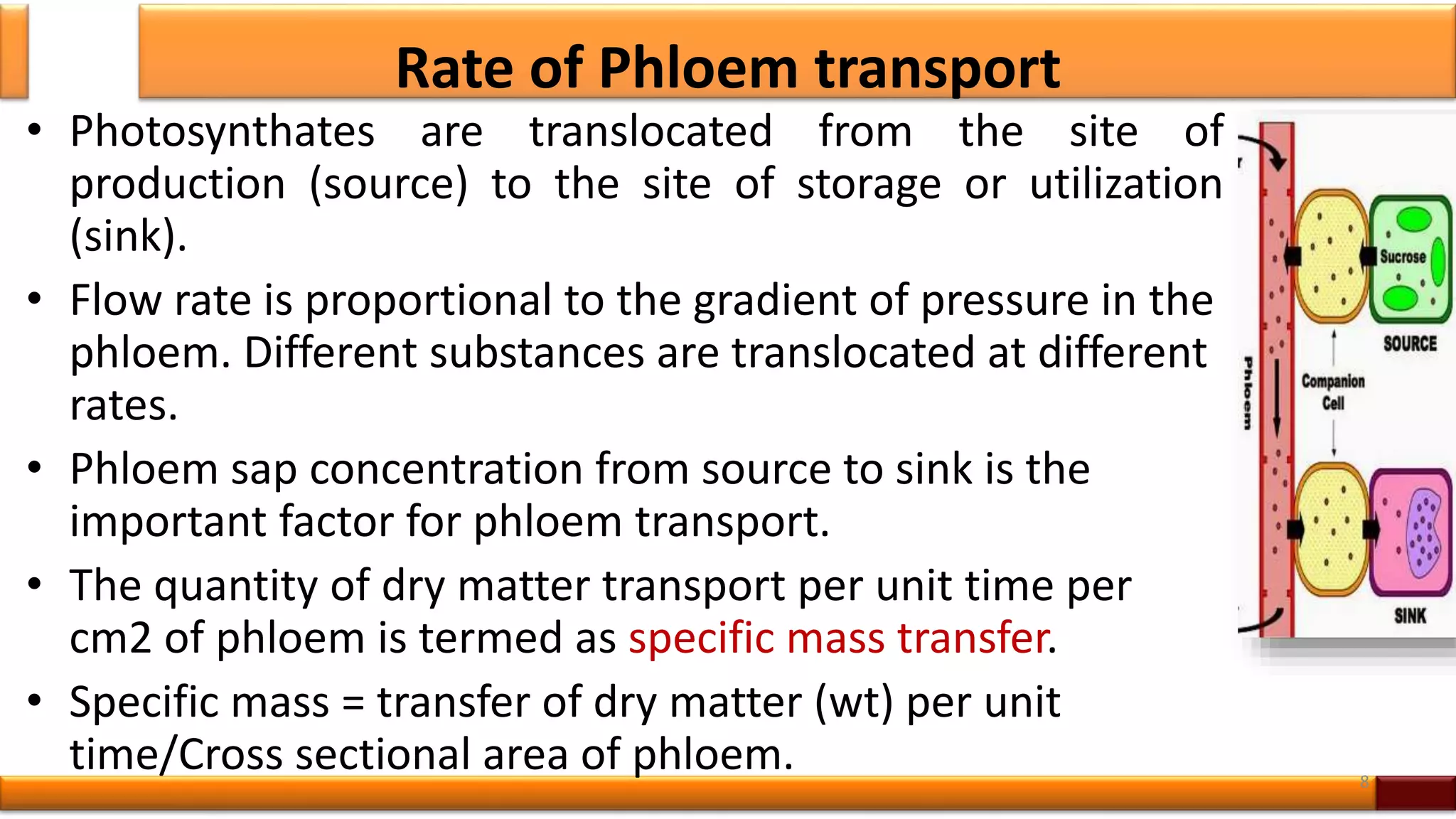 Overview of translocation(Phloem transport) | PPTX