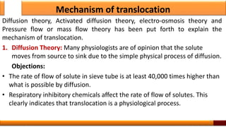 Overview of translocation(Phloem transport) | PPTX