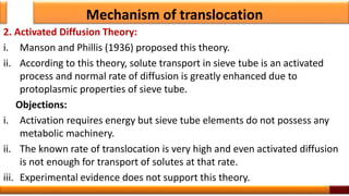 Overview of translocation(Phloem transport) | PPTX