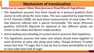 Overview of translocation(Phloem transport) | PPTX