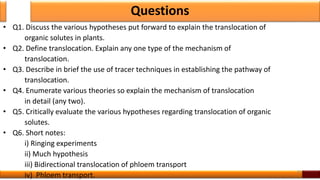 Overview of translocation(Phloem transport) | PPTX