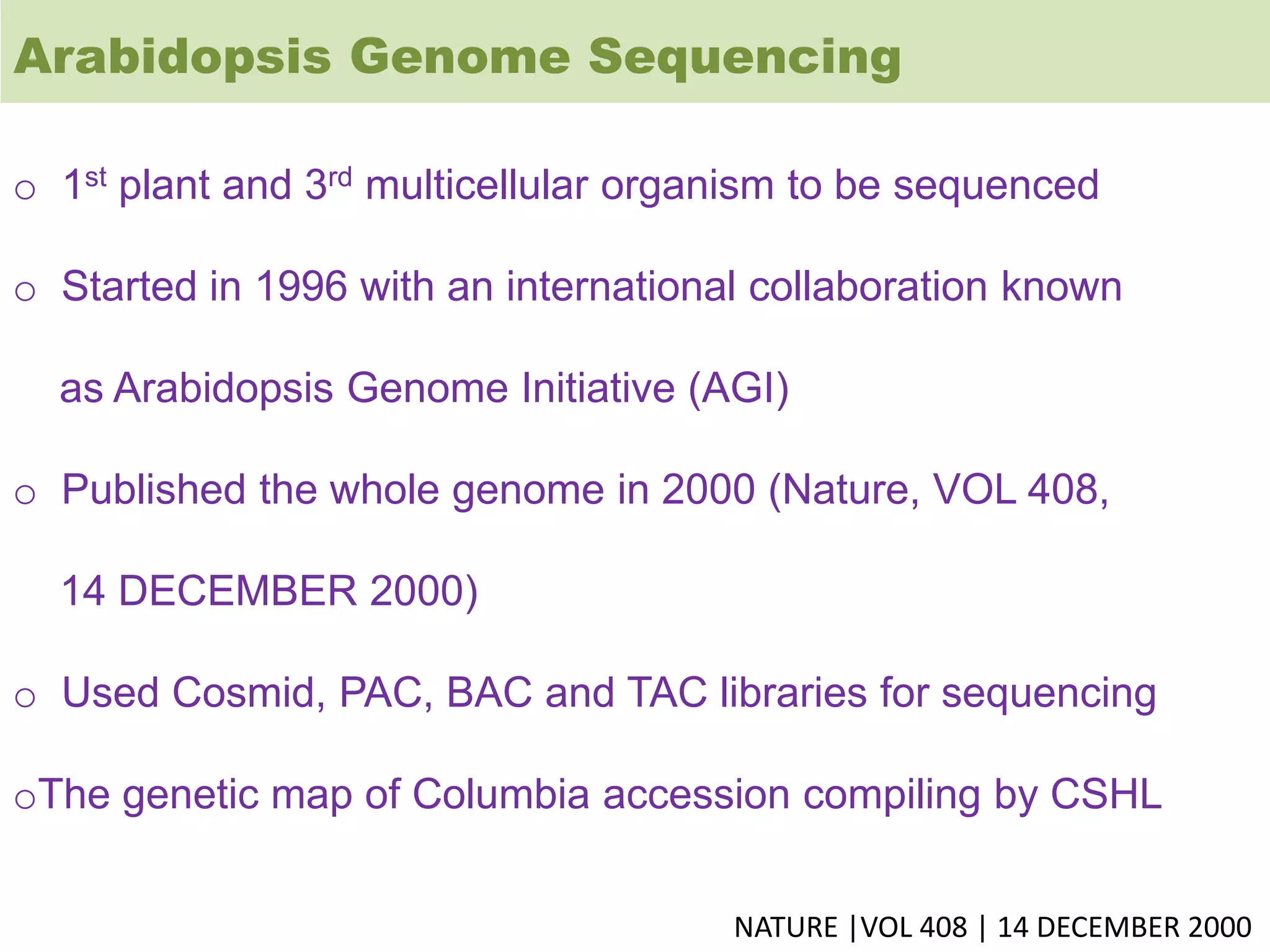Overview on arabidopsis and rice genome | PPT