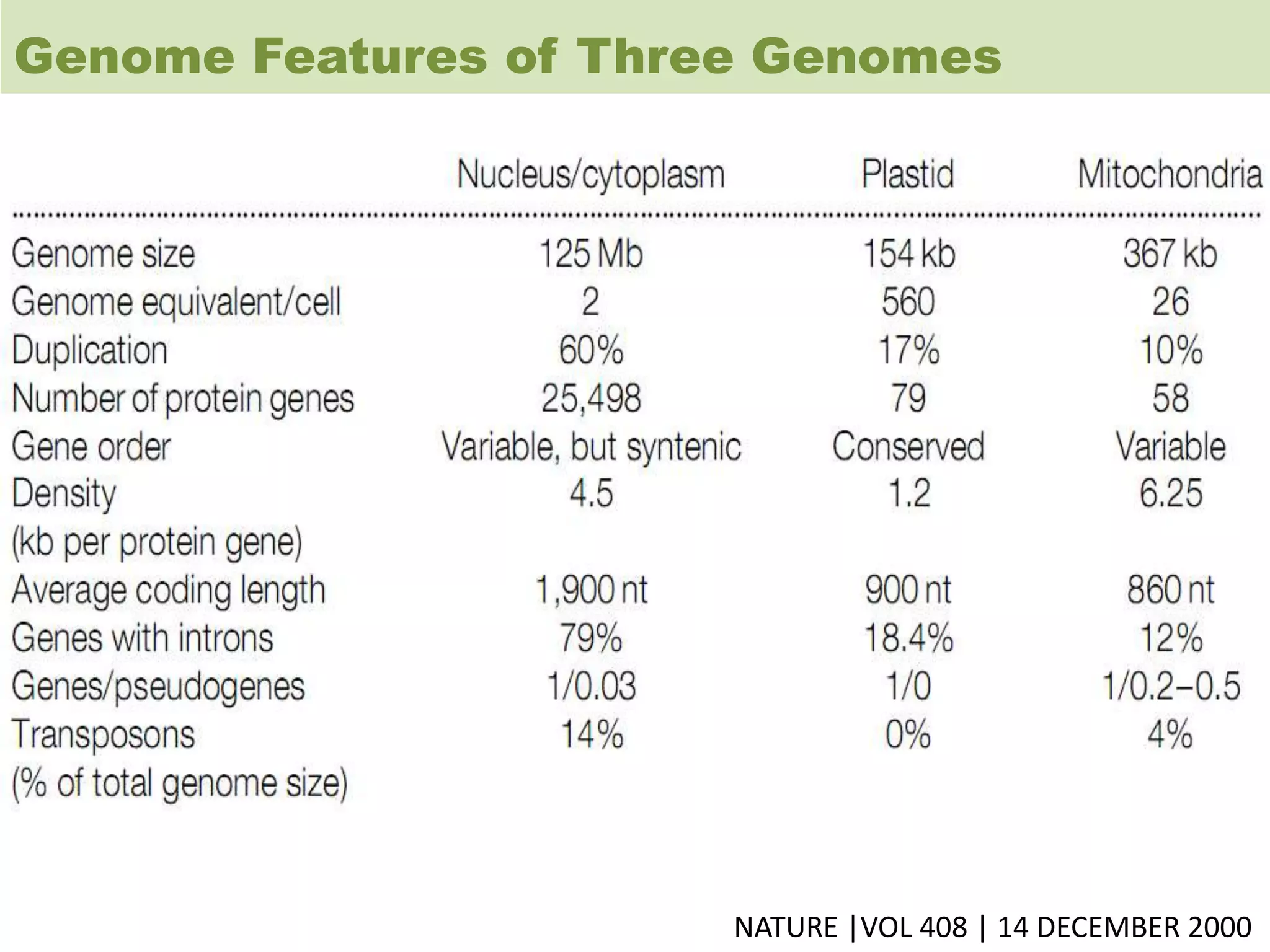 Overview on arabidopsis and rice genome | PPT