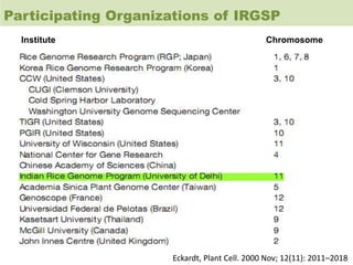 Overview on arabidopsis and rice genome | PPT