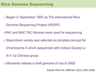 Overview on arabidopsis and rice genome | PPT