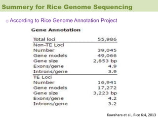 Overview on arabidopsis and rice genome | PPT
