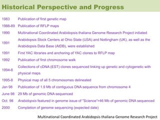 Overview on arabidopsis and rice genome | PPTX
