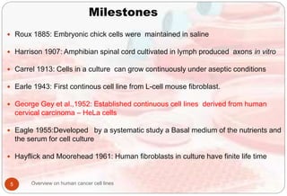 human cancer cell lines & ethics to collect human biopsy and disposal ...