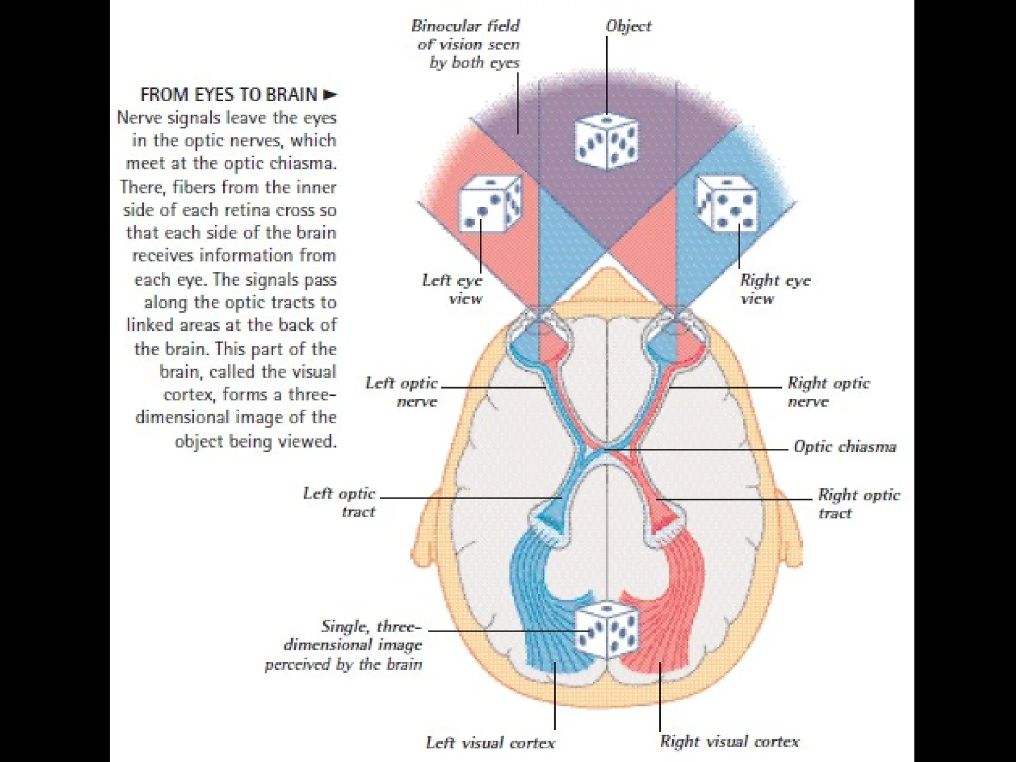 overview on optics, introduction to optics.pptx
