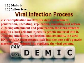 Overview on pandemic viral infections | PPTX