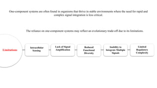 Overview on Signal Transduction System.pptx
