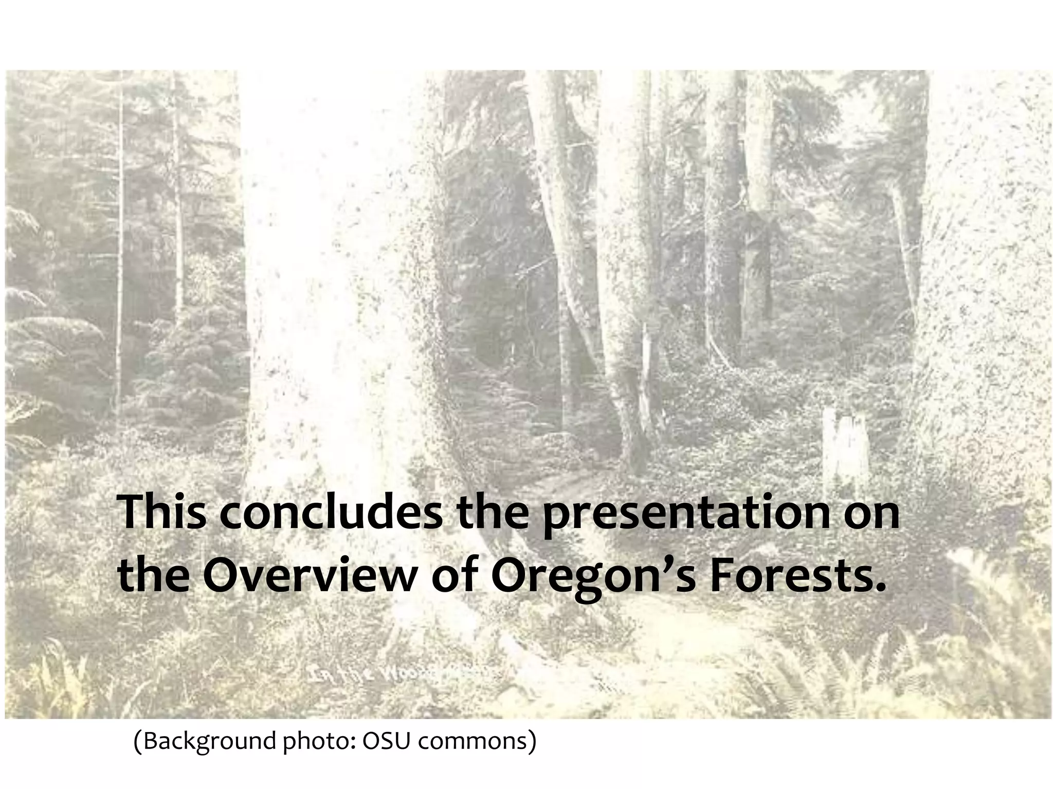 Overview Oregon's forests | PPTX